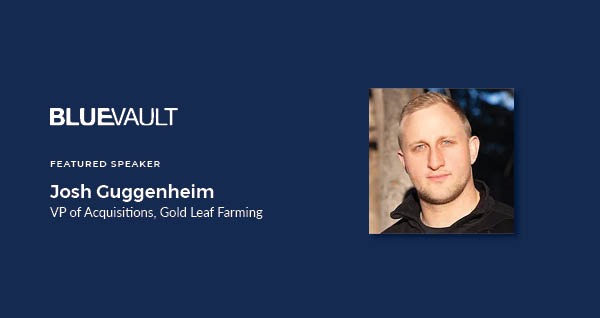 Inside the V(ALT), with Josh Guggenheim - Blue Vault